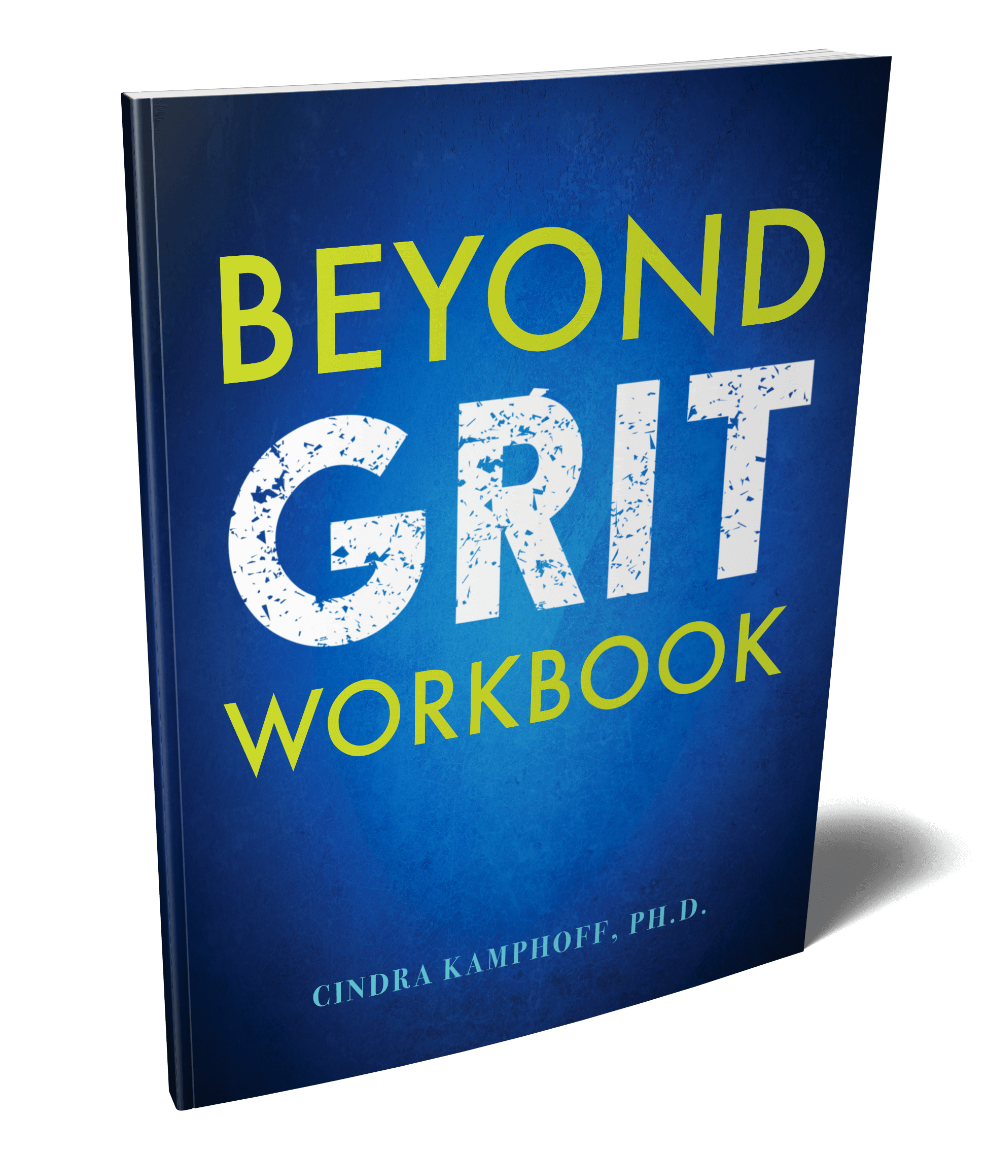Beyond Grit Workbook Beyond Grit